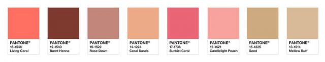 Pantone Has Released Their Color of The Year For 2019