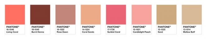 Pantone Has Released Their Color of The Year For 2019